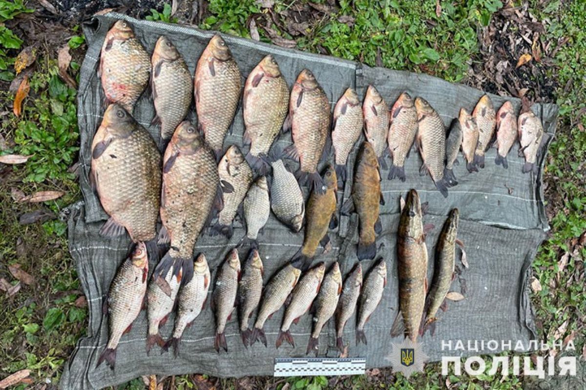 Тернополянин незаконно наловив риби на 110 тисяч гривень - 20 хвилин ...